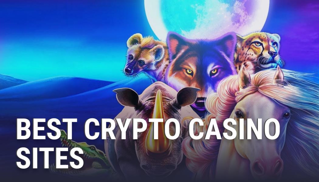 Best Crypto Casinos Online Popular Bitcoin Online Casinos 